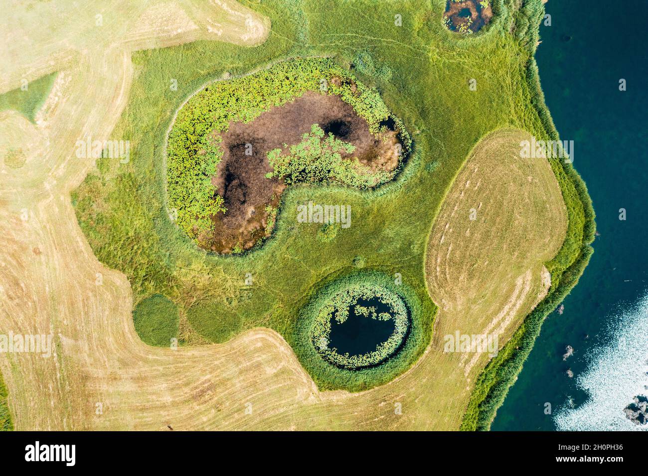 Aerial view of the circular lakes in reeds and grassland, Croatia Stock ...