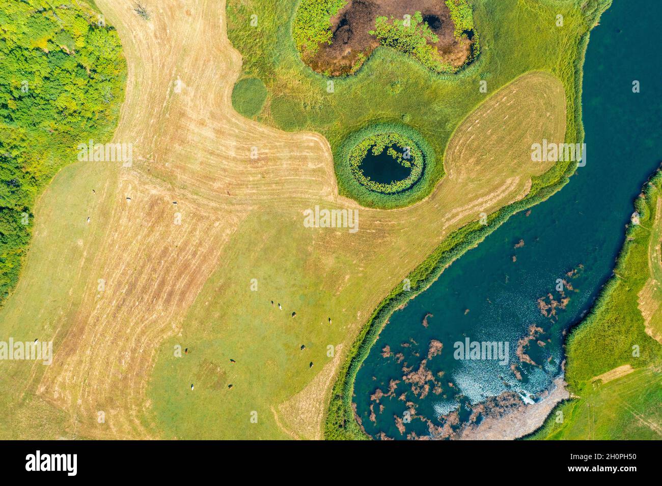 Aerial view of the circular lakes in reeds and grassland, Croatia Stock ...