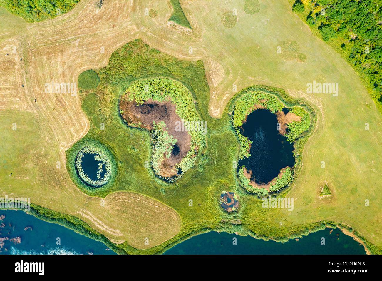 Aerial view of the circular lakes in reeds and grassland, Croatia Stock ...