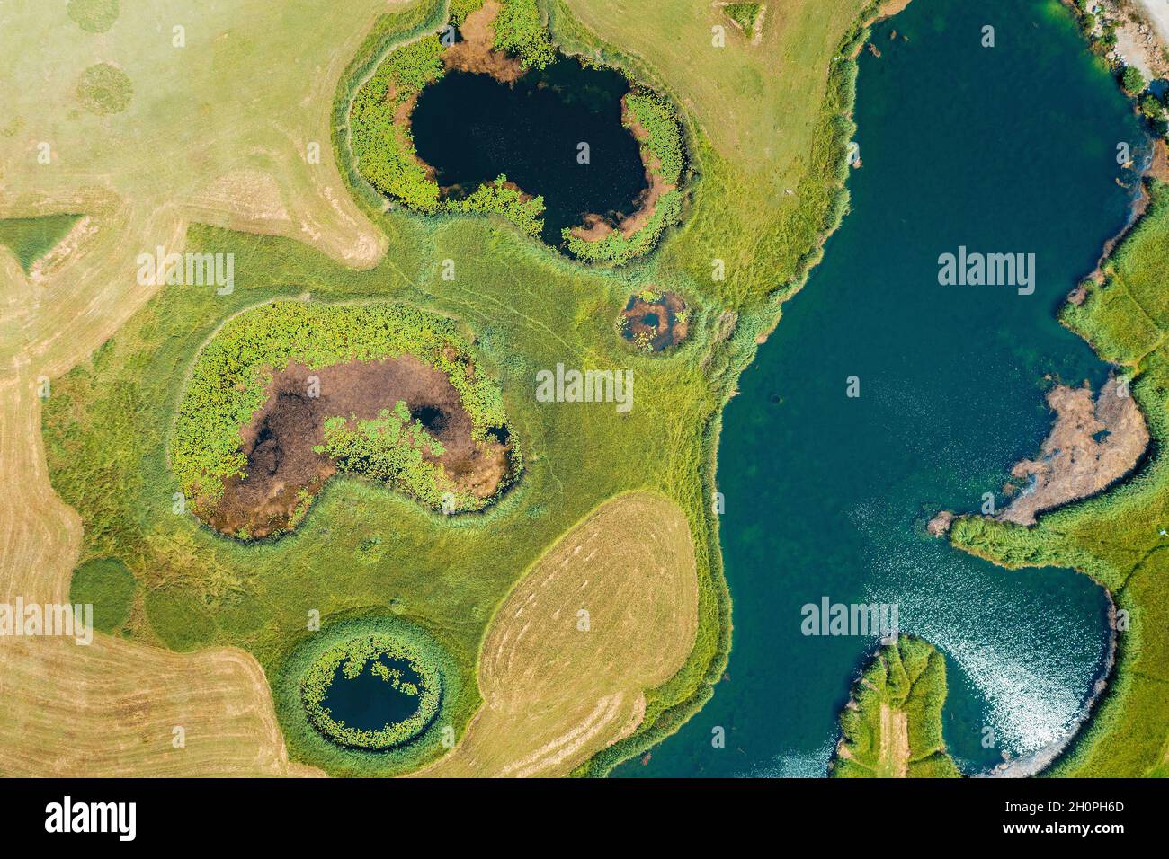 Aerial view of the circular lakes in reeds and grassland, Croatia Stock ...