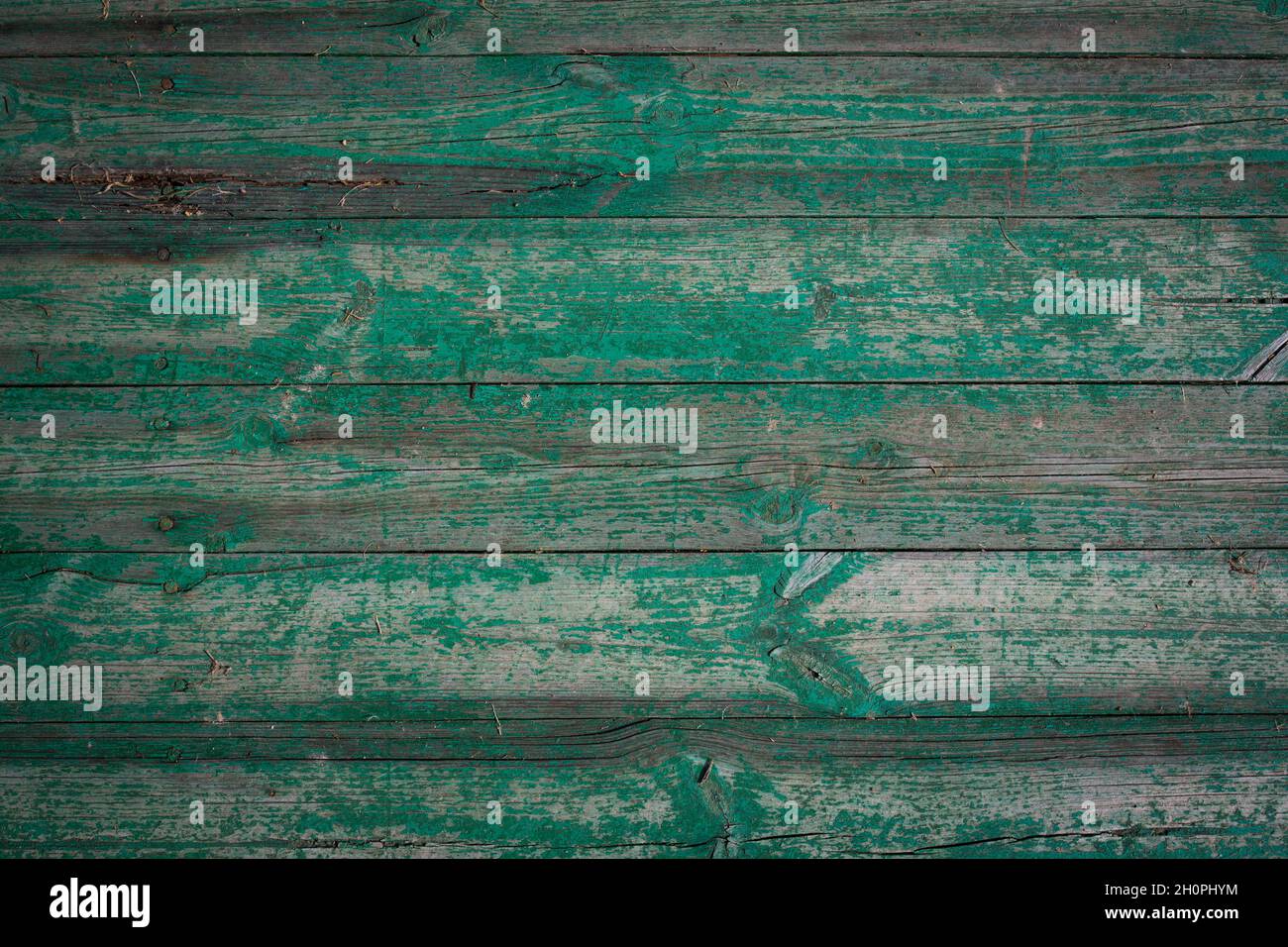 Wooden logs of an old house. Close-up. Weathered green wood texture ...