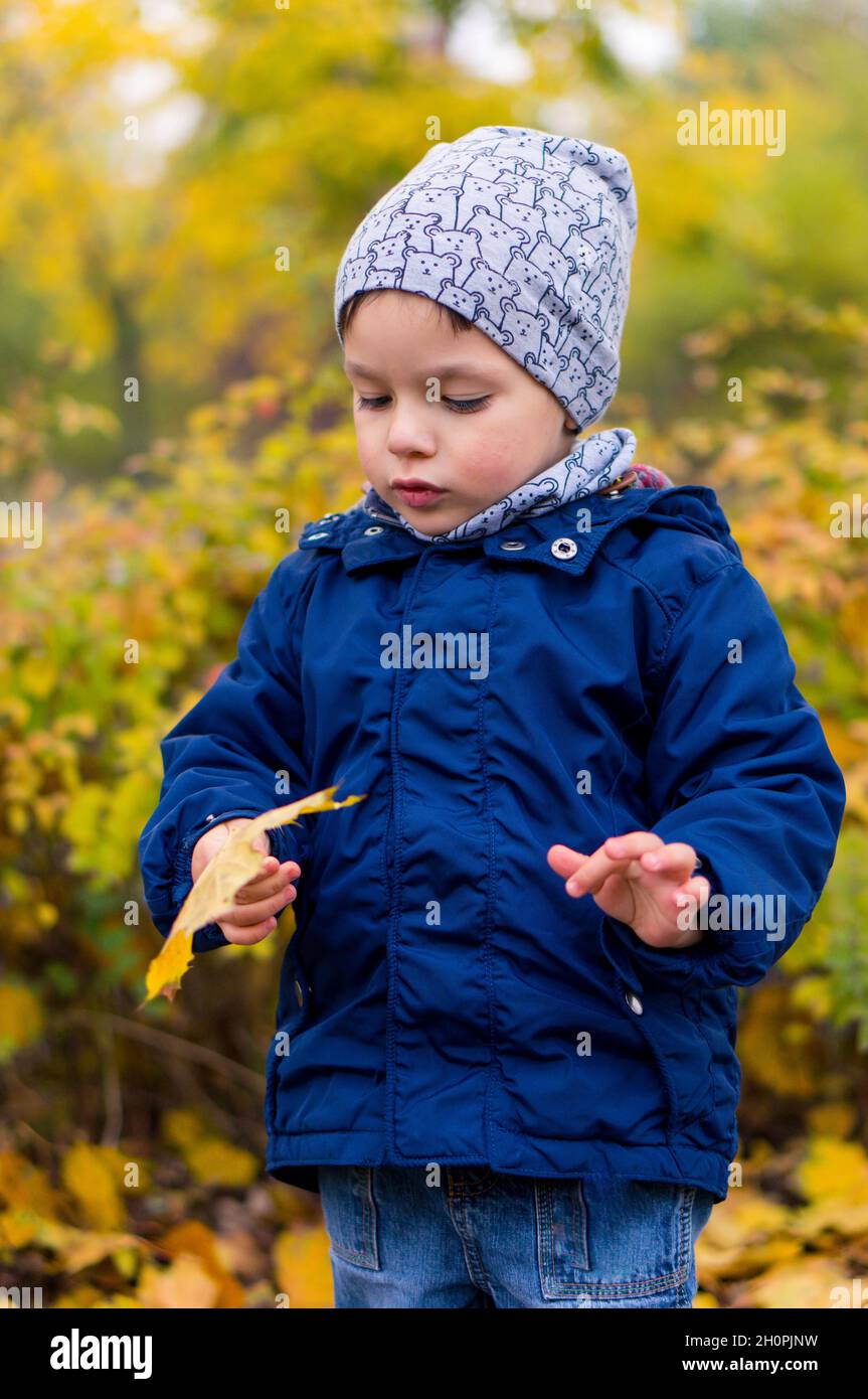 Adorable little boy from Poland observing a golden autumn leaf in a ...