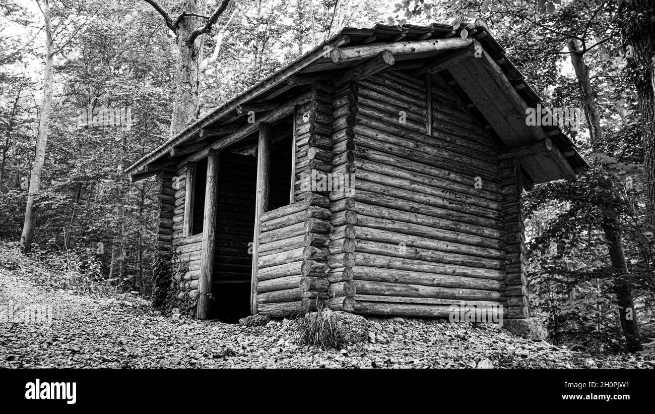 Grayscale shot of a small rural wooden hut in the woods Stock Photo - Alamy