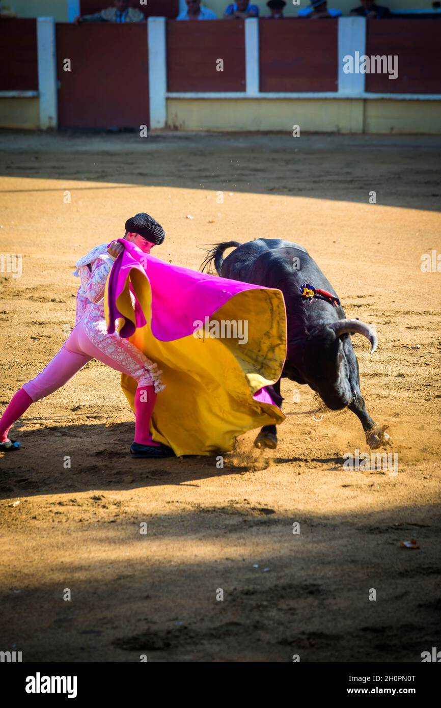 Parentis en Born (south western France): bullfight during the Feria ...