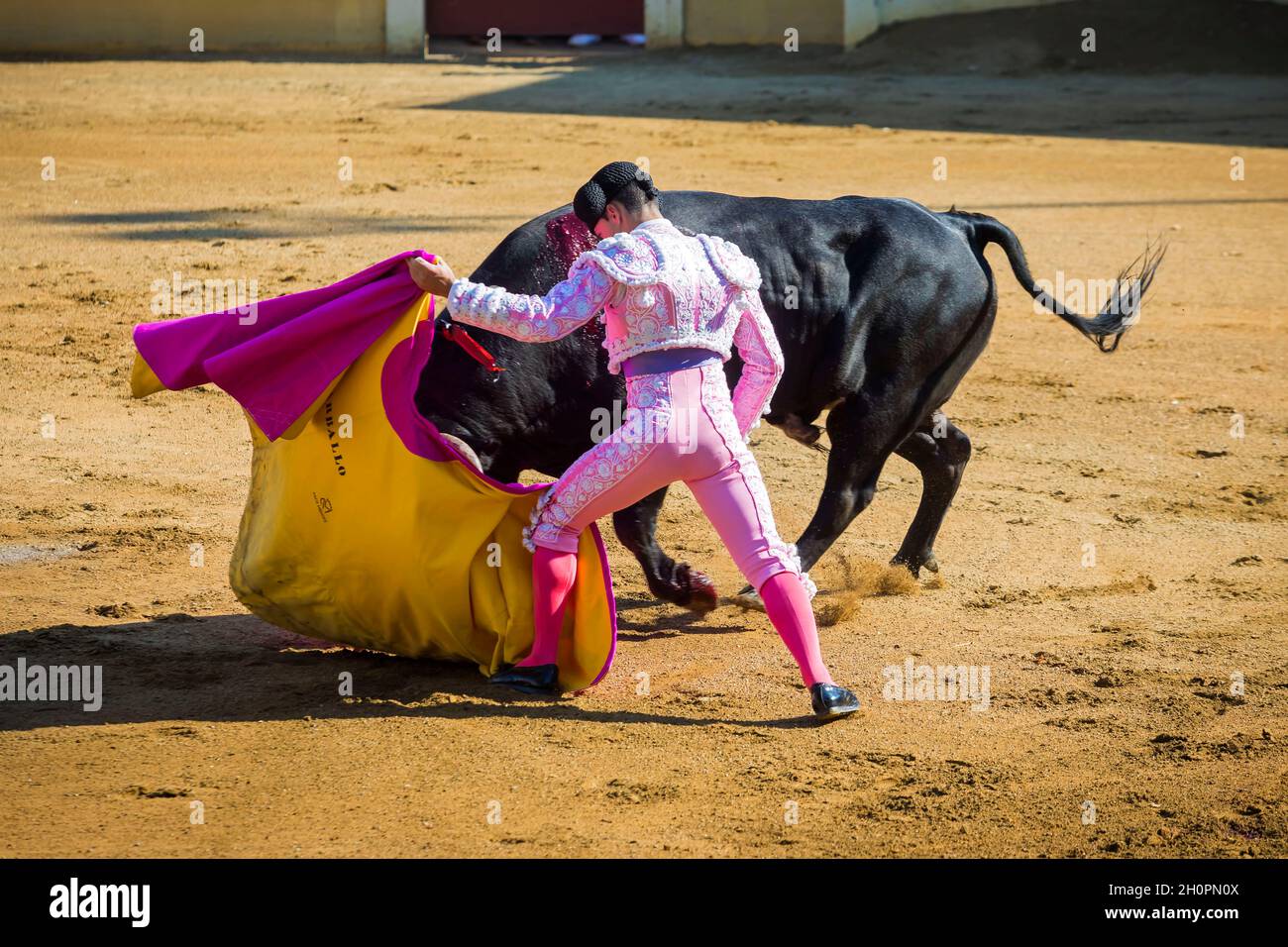 Parentis en Born (south western France): bullfight during the Feria ...