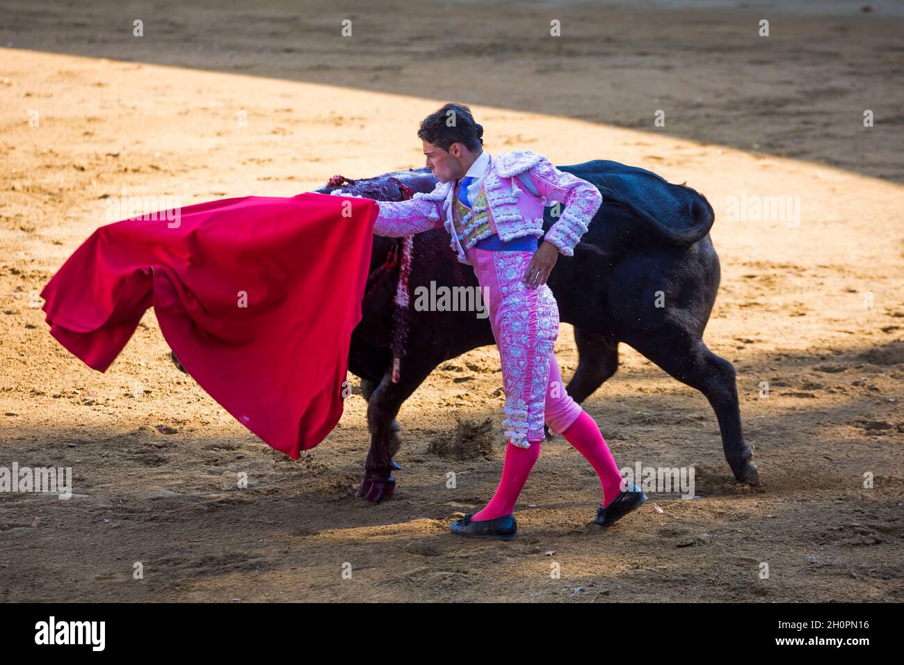 Parentis en Born (south western France): bullfight during the Feria ...