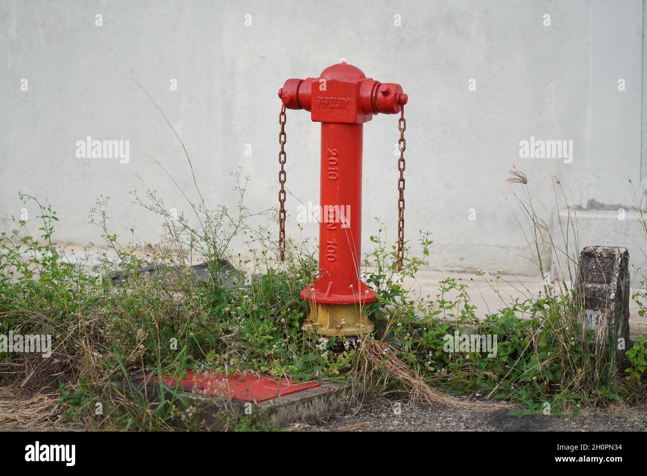 A red fire hydrants on the edge of a wall filled with grass. Pili bomba ...