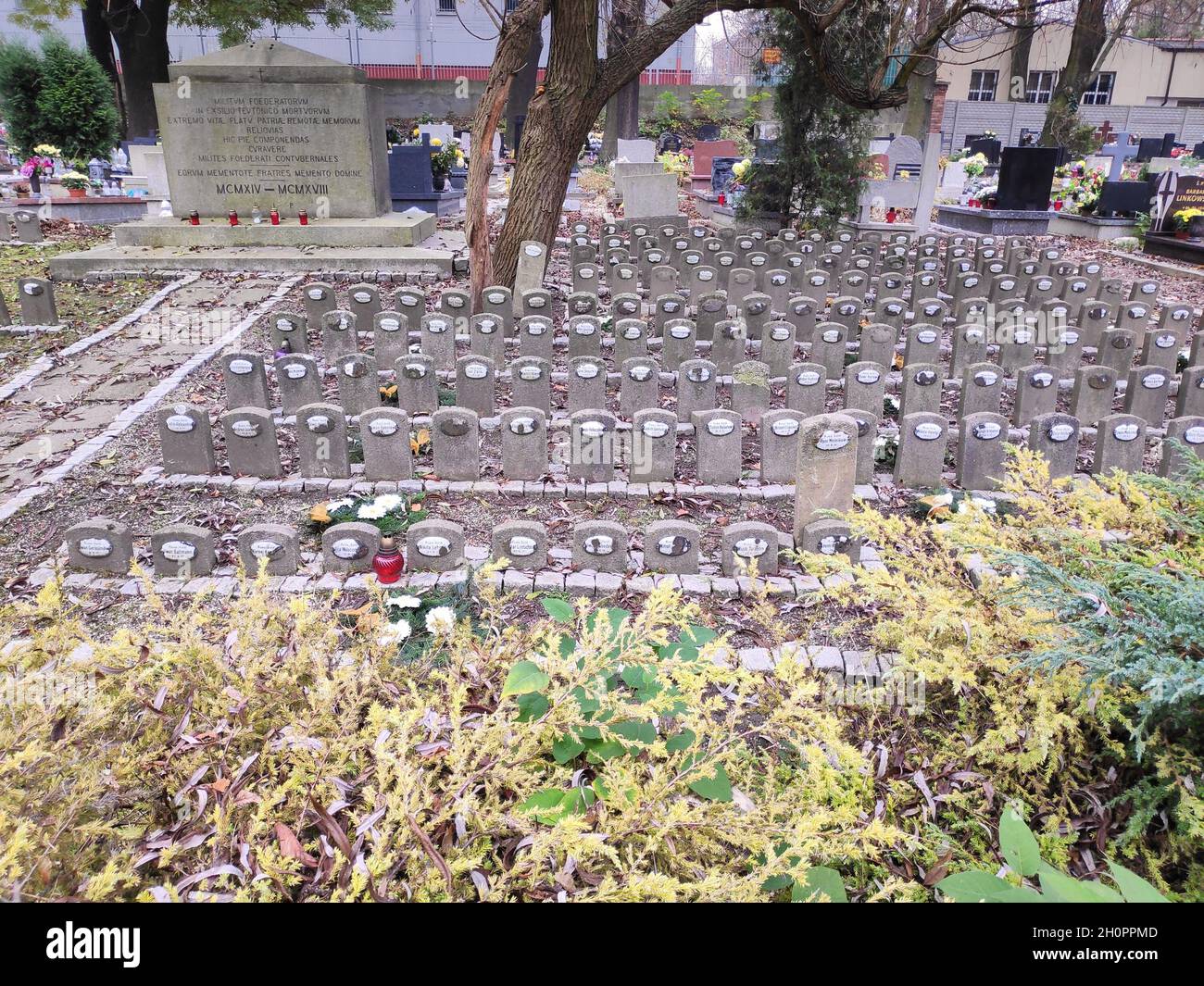 BYTOM, POLAND - NOVEMBER 11, 2020: Graves of Soviet soldiers (Red Army ...