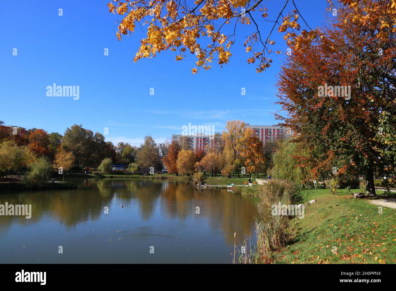 Europe autumn colors. Golden Polish autumn in city park of Bytom ...