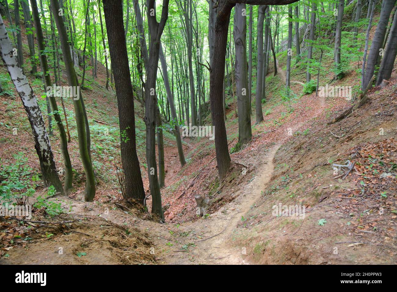 Dolina bedkowska hi-res stock photography and images - Alamy
