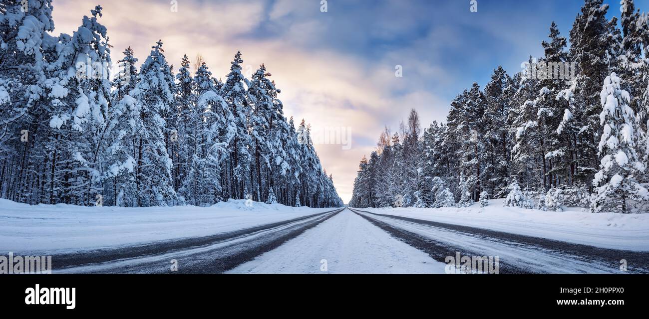 Panoramic view of the beautiful country road in winter Stock Photo - Alamy
