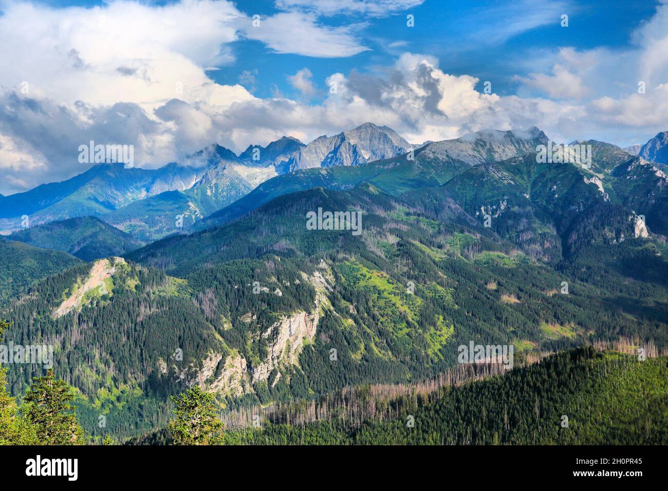 Tatry mountains in Slovakia seen from hiking trail in Poland. Tatry ...