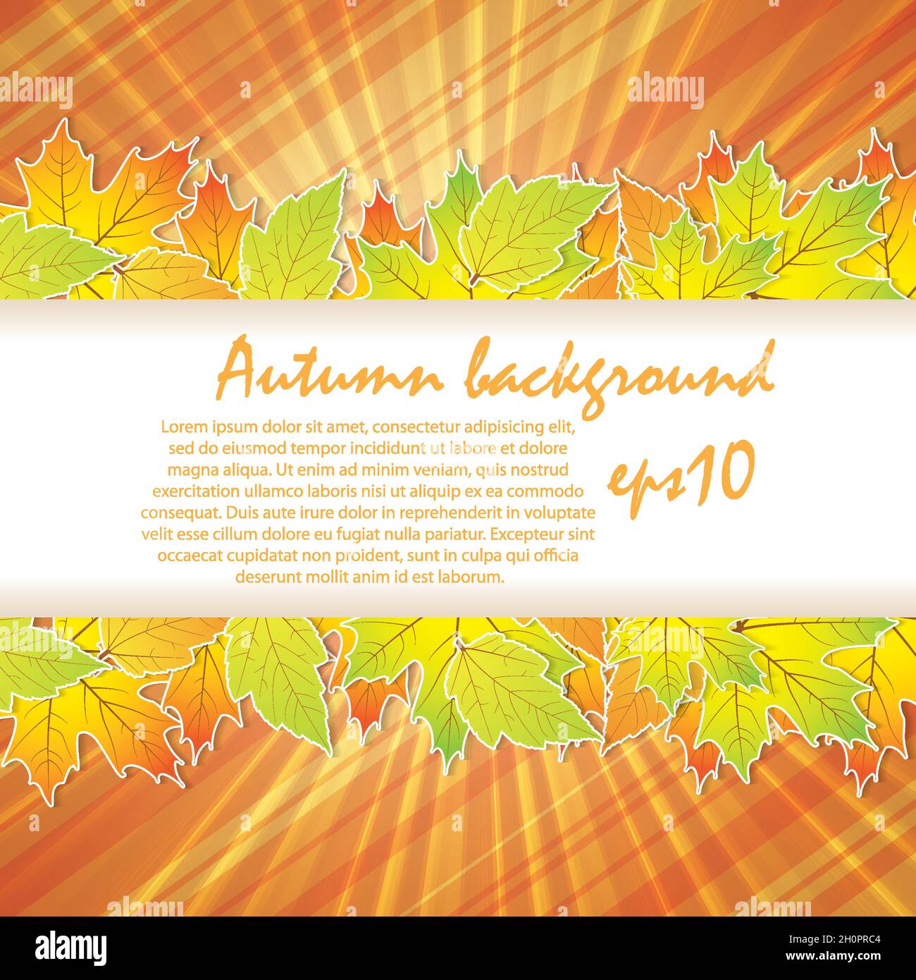 Beautiful lush golden leaves Stock Vector Images - Alamy