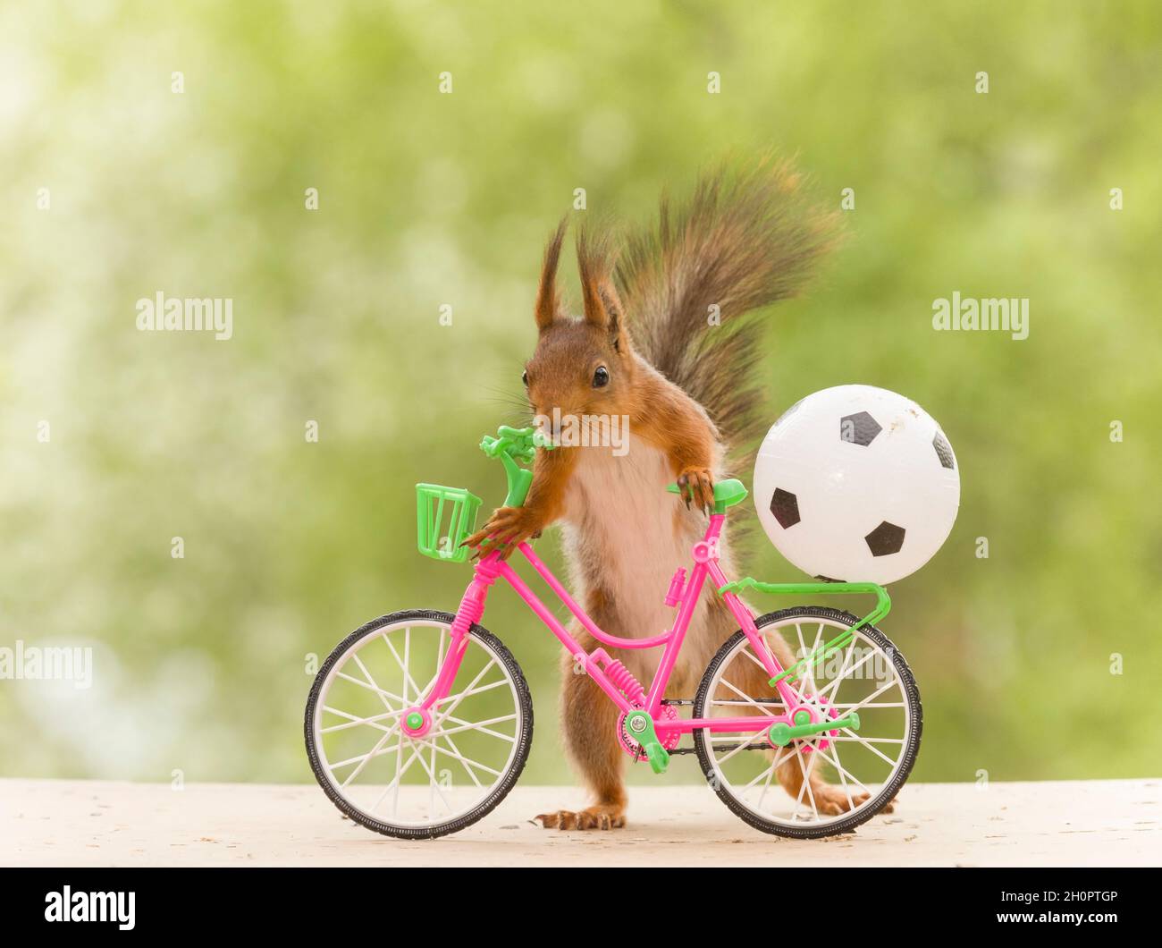 Cycle to football training hi-res stock photography and images - Alamy
