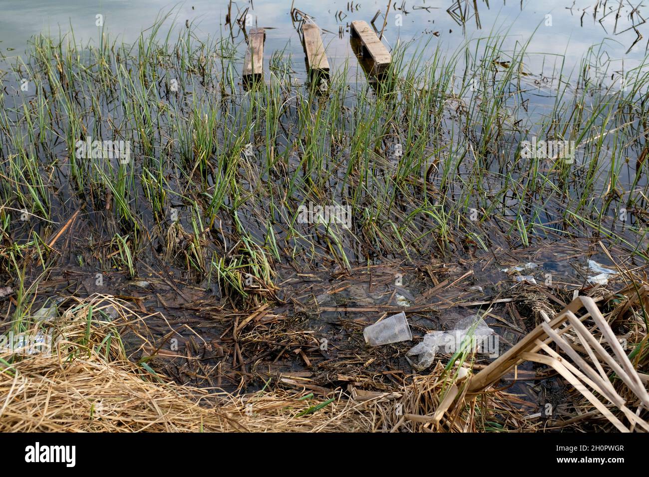 Messy environment hi-res stock photography and images - Alamy