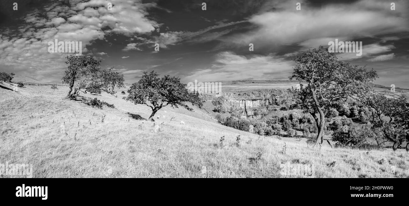 This Autumn scene is of the famous Malham Cove spectacular geological ...