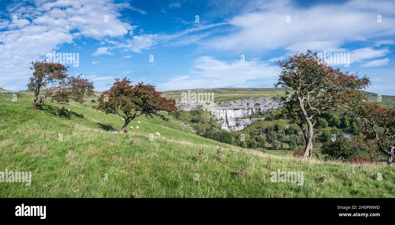 This Autumn scene is of the famous Malham Cove spectacular geological ...