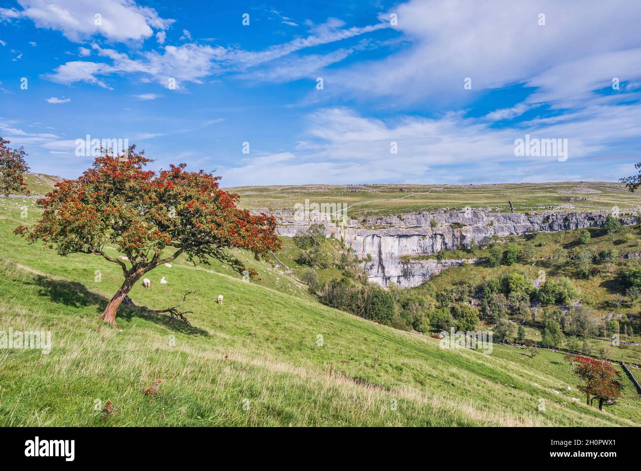 This Autumn scene is of the famous Malham Cove spectacular geological ...
