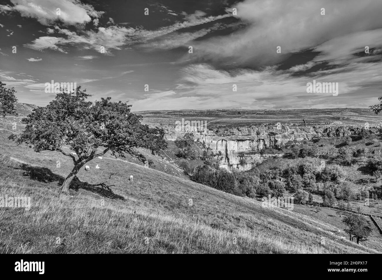 This Autumn scene is of the famous Malham Cove spectacular geological ...