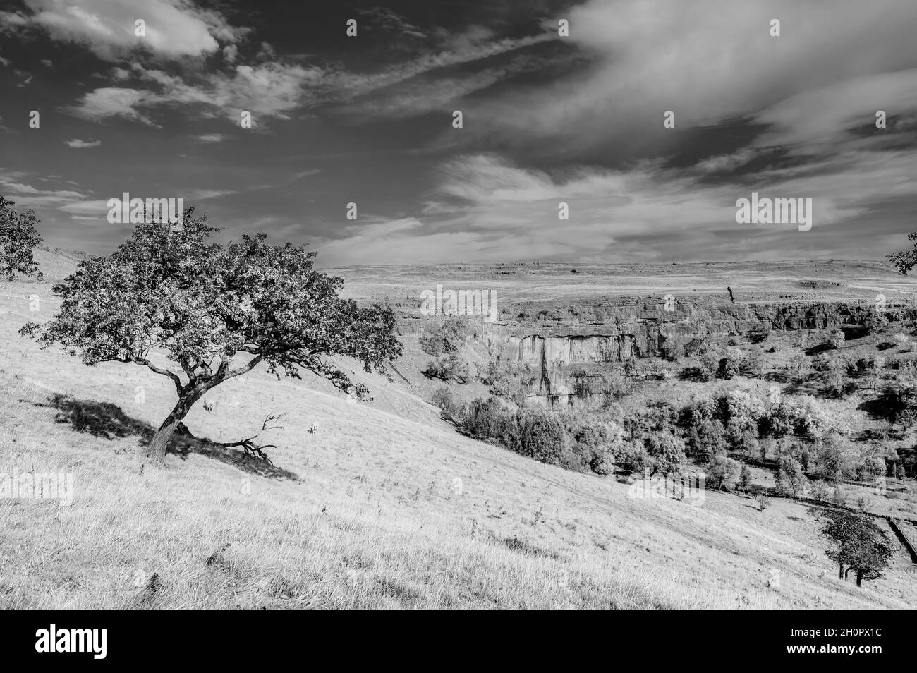This Autumn scene is of the famous Malham Cove spectacular geological ...