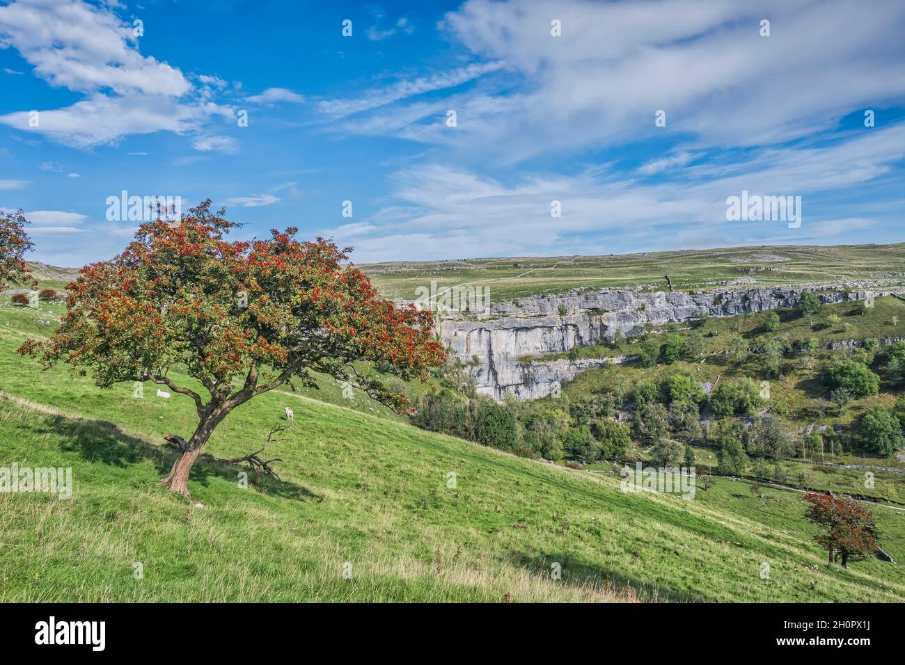 This Autumn scene is of the famous Malham Cove spectacular geological ...