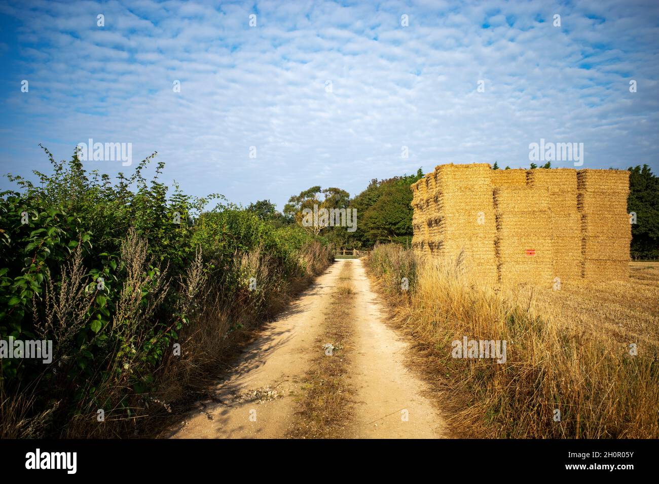 Farming track hi-res stock photography and images - Alamy
