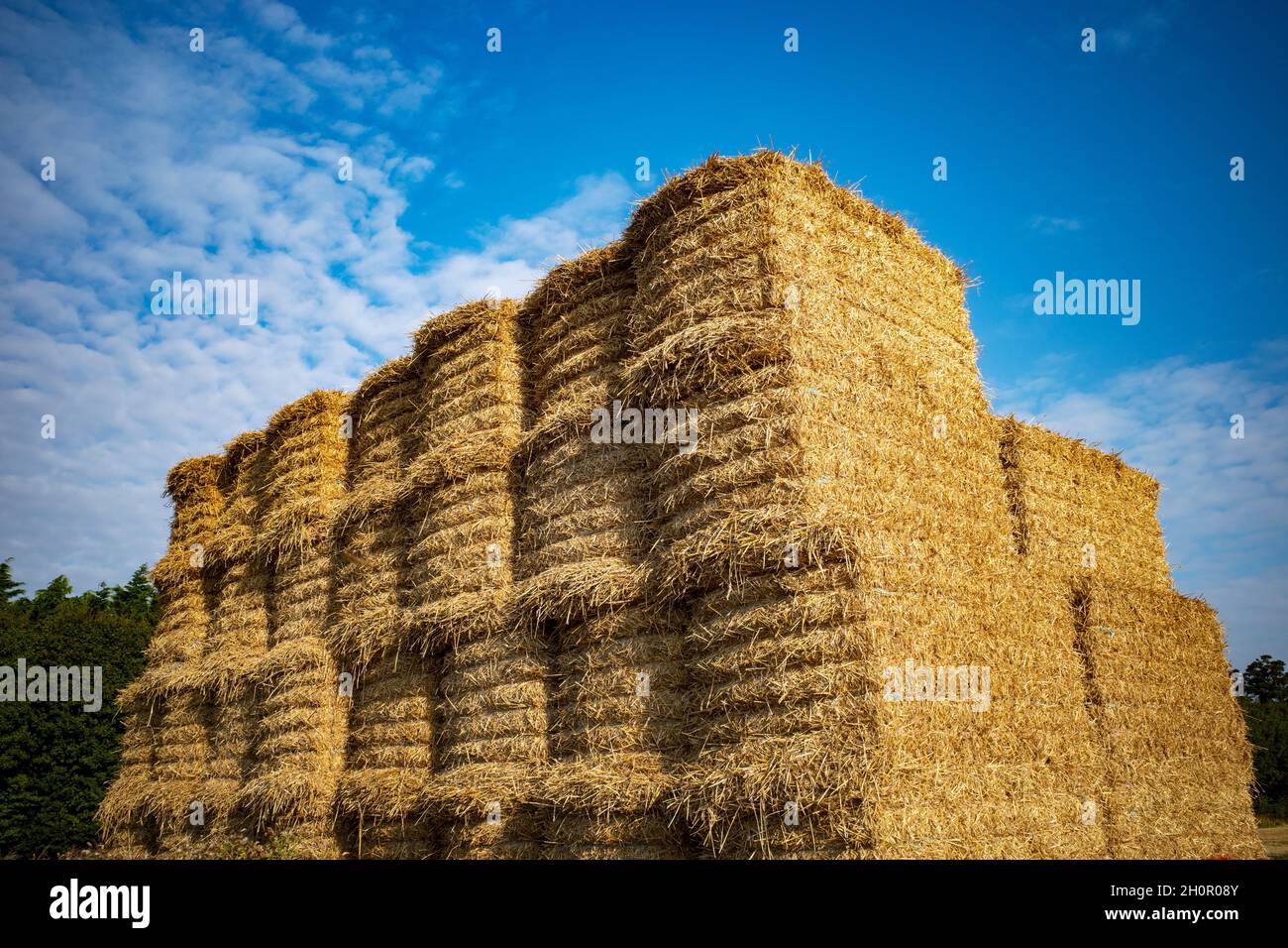 Large straw bales stacked hi-res stock photography and images - Alamy