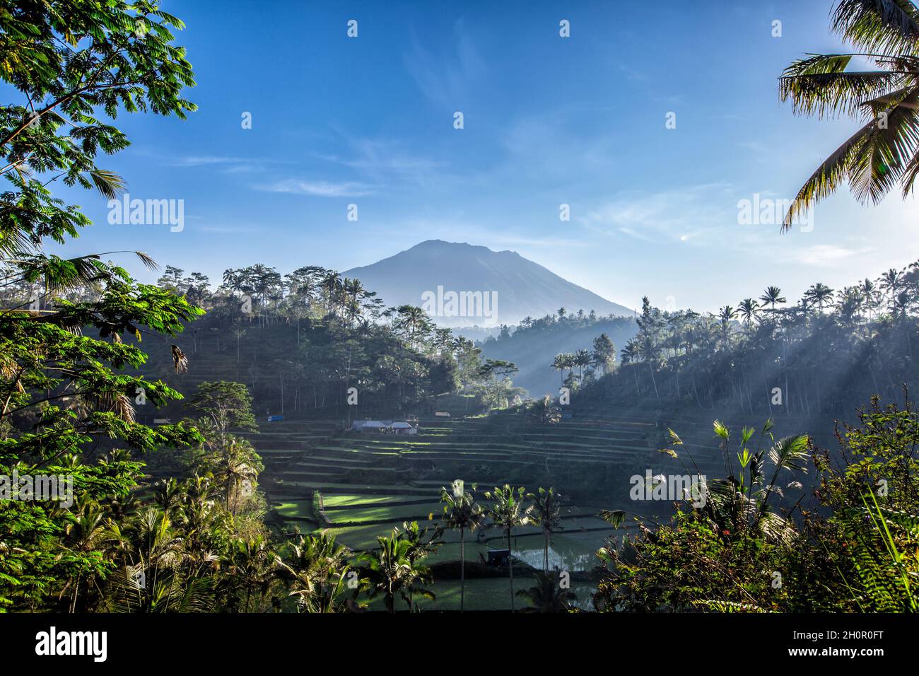 Sun light terraces in the countryside hi-res stock photography and ...