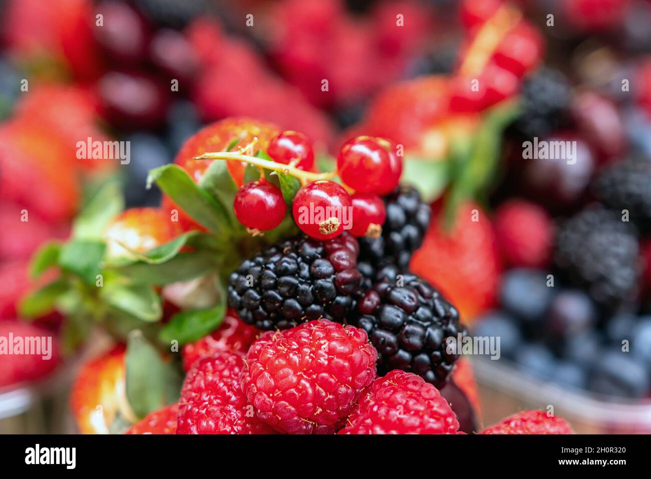 Summer harvest of different hi-res stock photography and images - Alamy