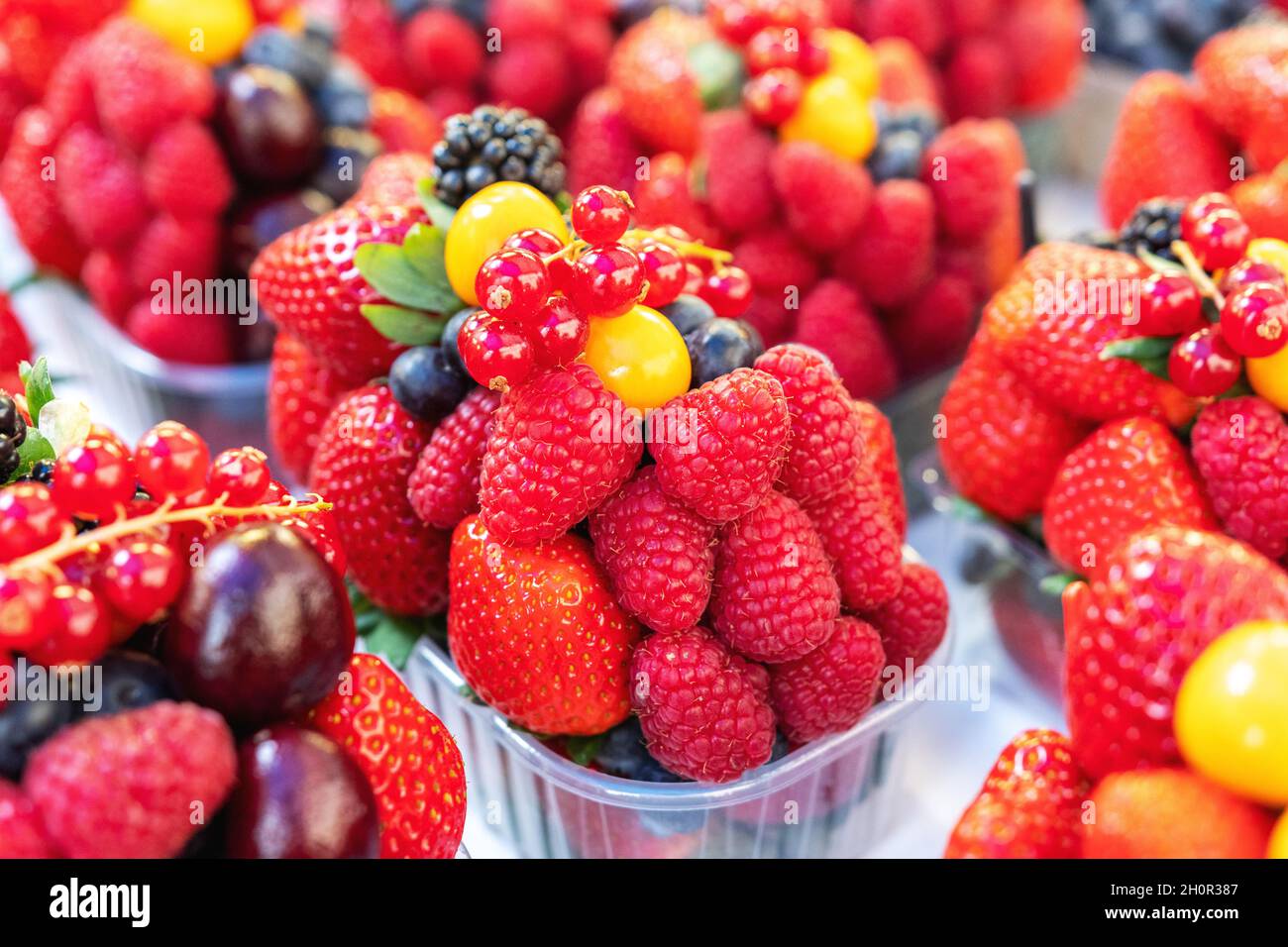 Summer harvest of different hi-res stock photography and images - Alamy