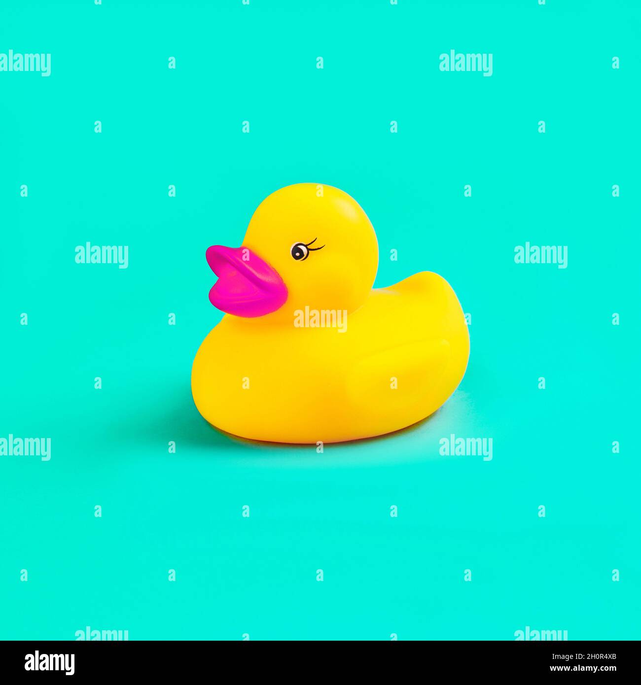 Rubber duck collection hi-res stock photography and images - Alamy