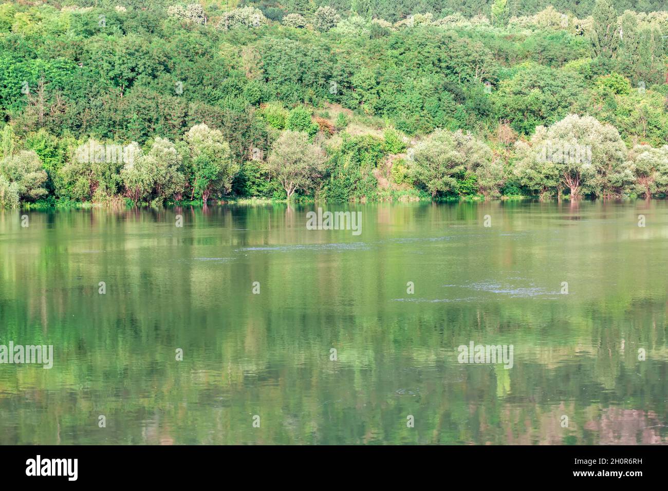 Landscape with green forest on the riverside . Scenery of nature ...