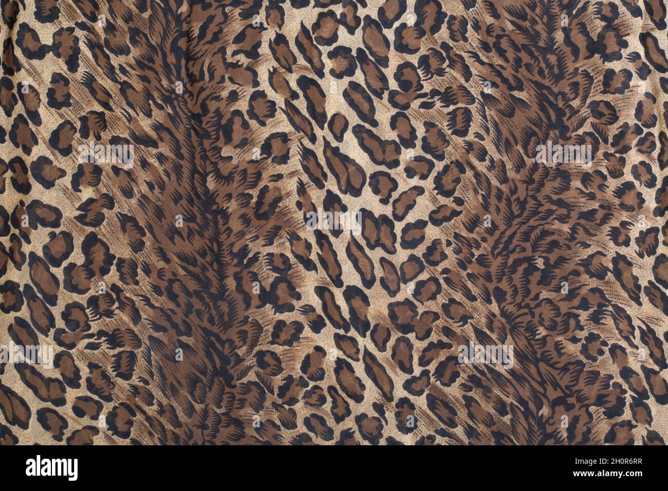 Leopard spot pattern texture background. Wild animal pattern background ...