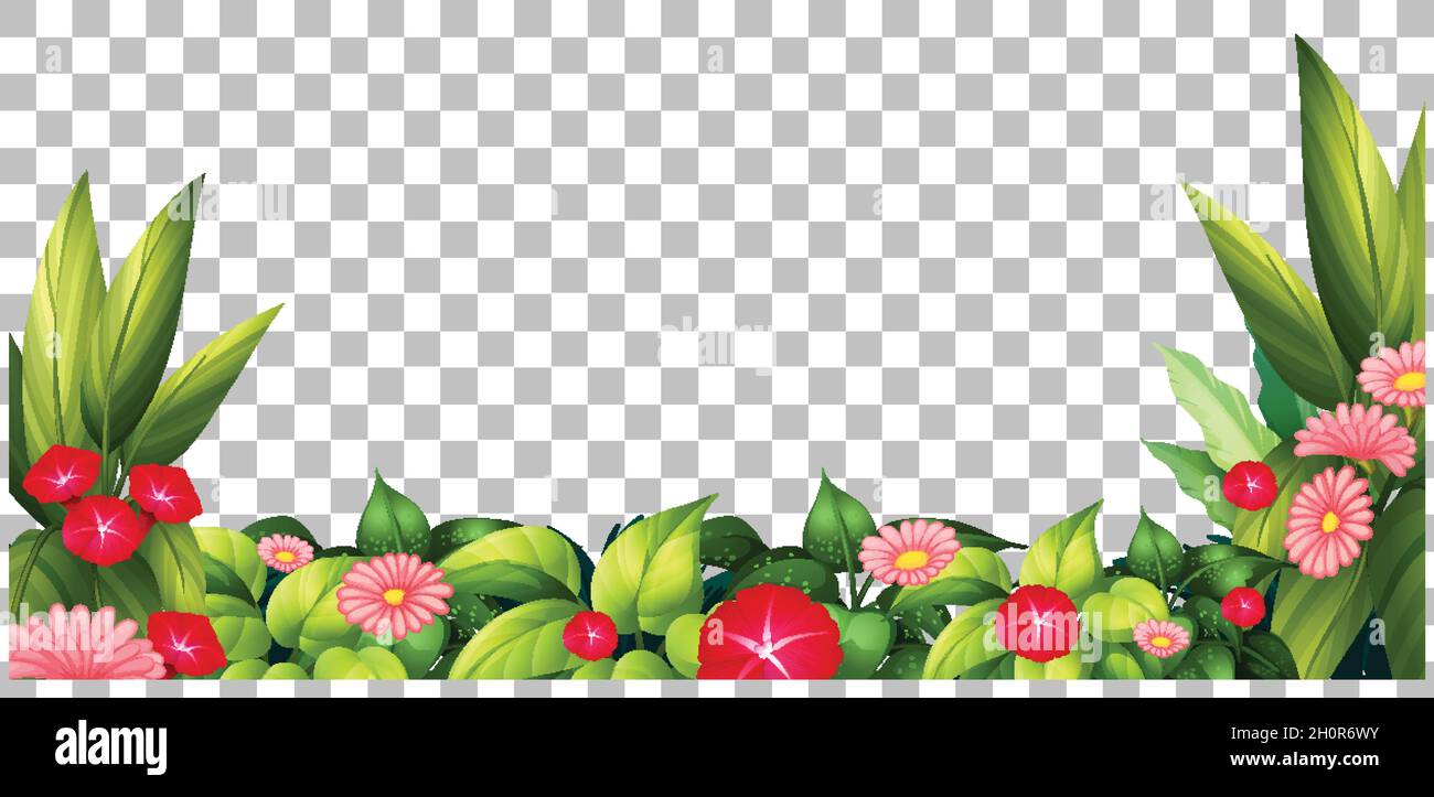 Nature plants frame transparent background illustration Stock Vector ...