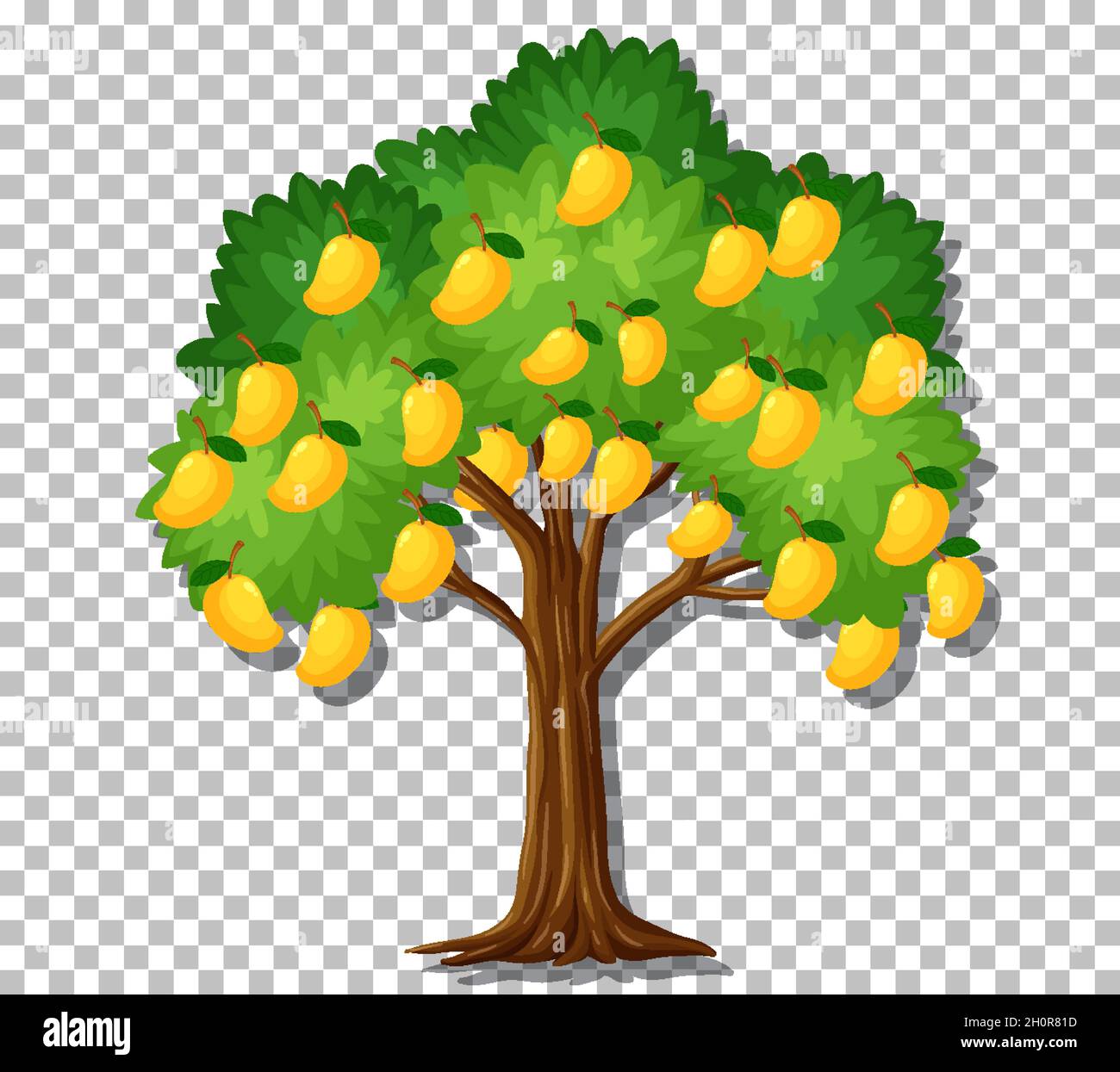 Mango tree on transparent background illustration Stock Vector Image ...