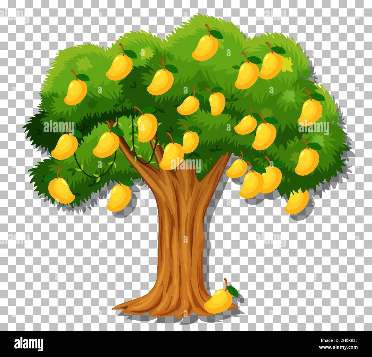 Mango tree on transparent background illustration Stock Vector Image ...