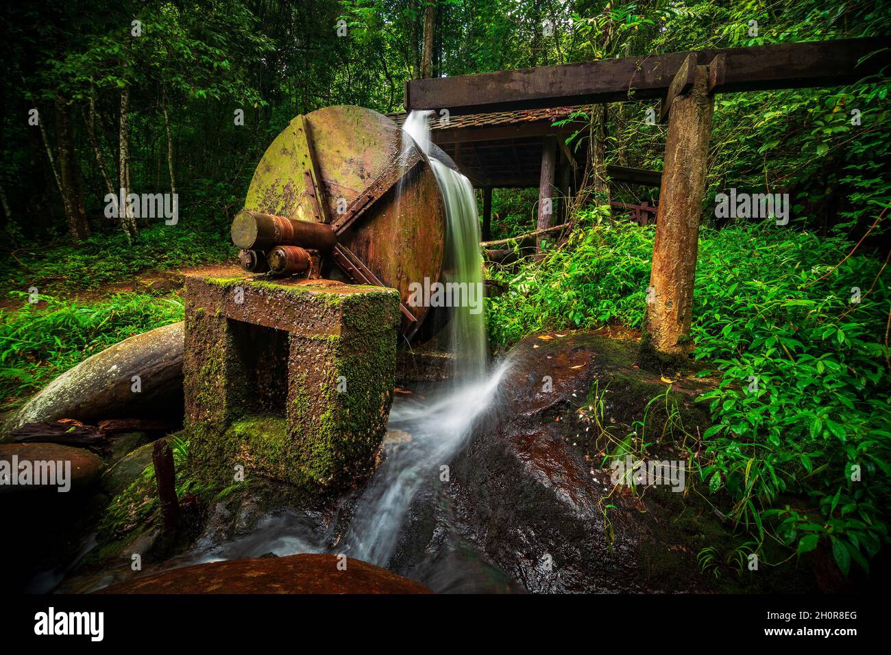 water wheel and cold water in stream in the forest Stock Photo - Alamy