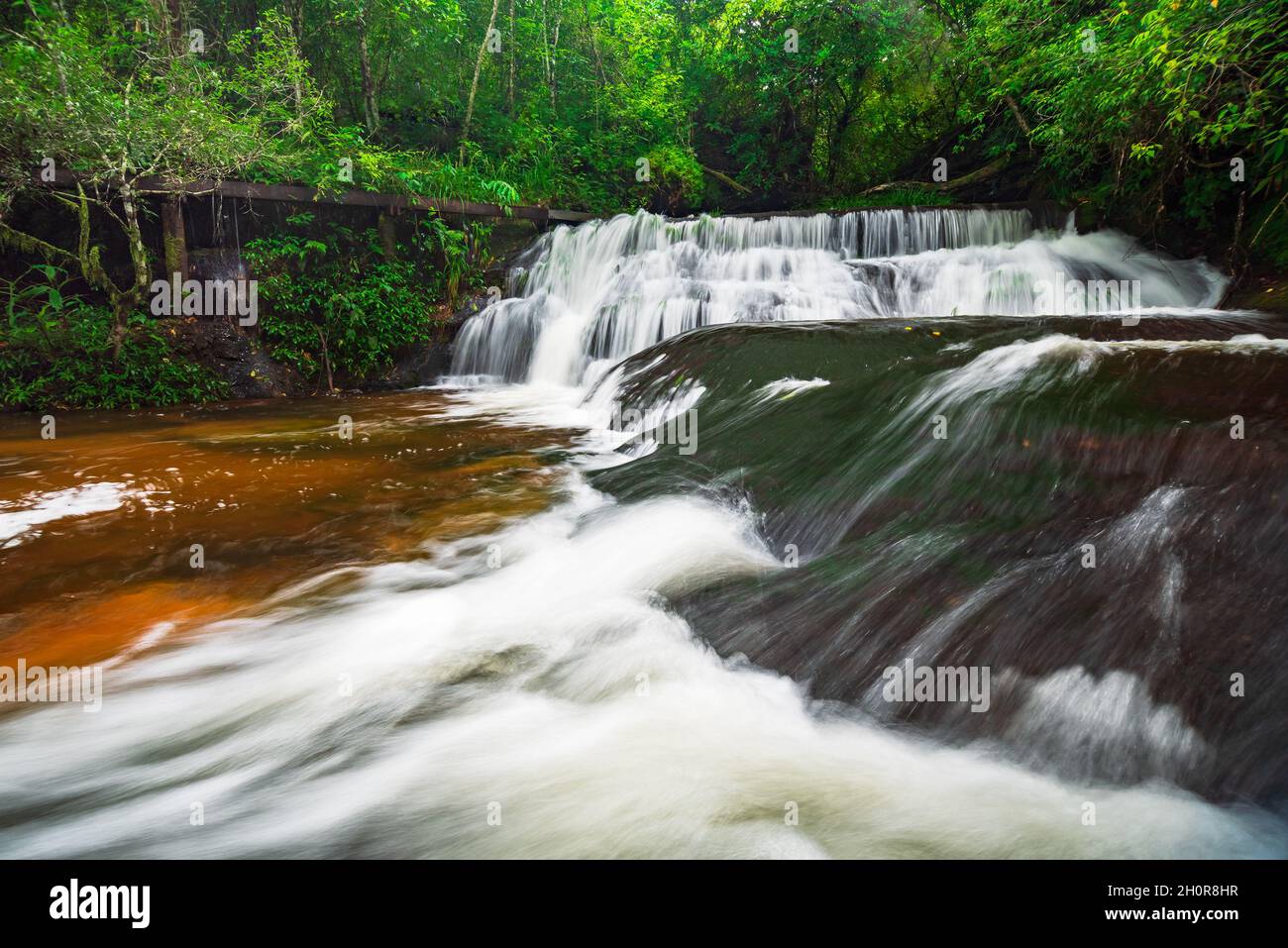 beautiful tropical rainforest waterfall in deep forest Stock Photo - Alamy