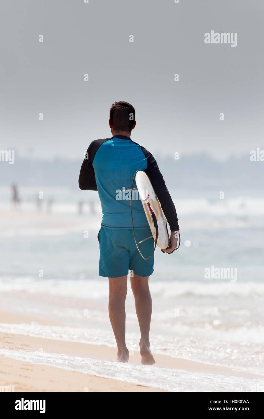 Rear view of handsome man carrying surfboard on sand beach to water ...