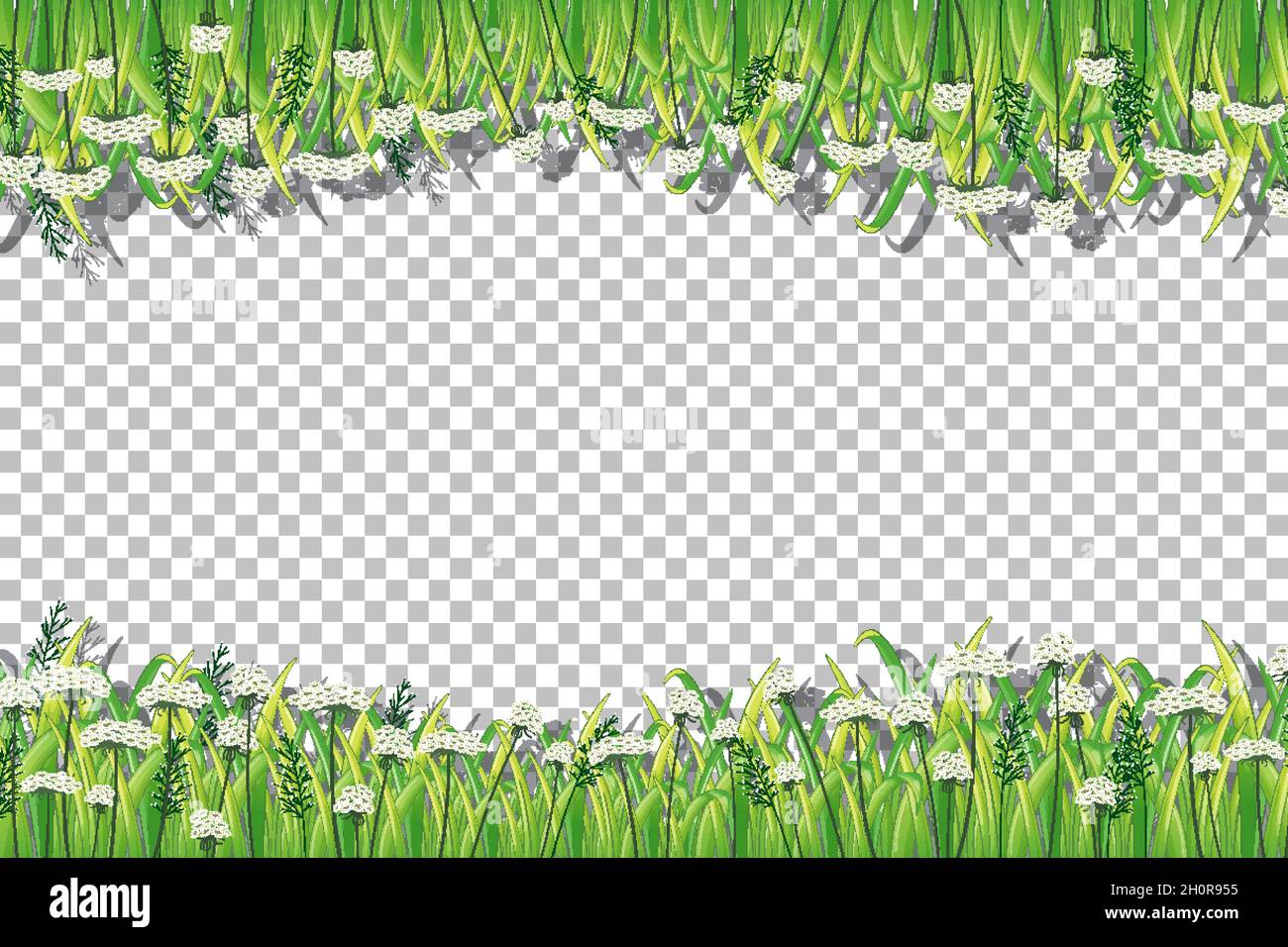Nature plants frame transparent background illustration Stock Vector ...