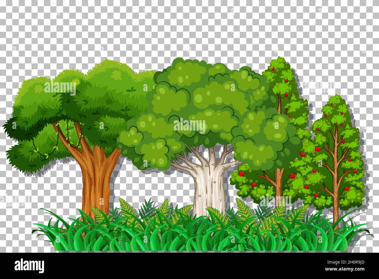 Tree on transparent background illustration Stock Vector Image & Art ...