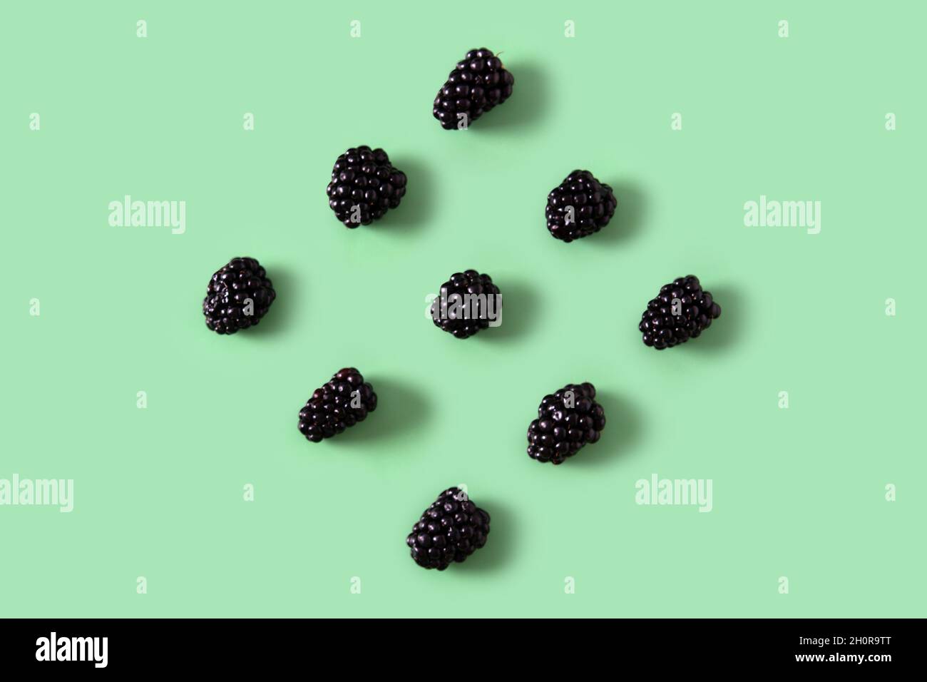 Blackberry pattern on green background Stock Photo - Alamy