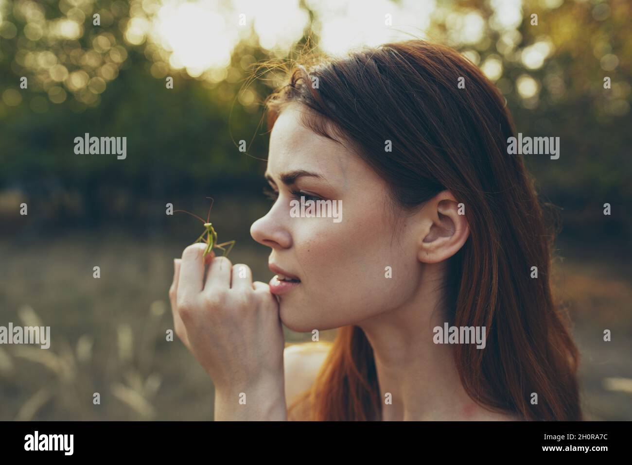 Mantis insect in hand green hi-res stock photography and images - Alamy