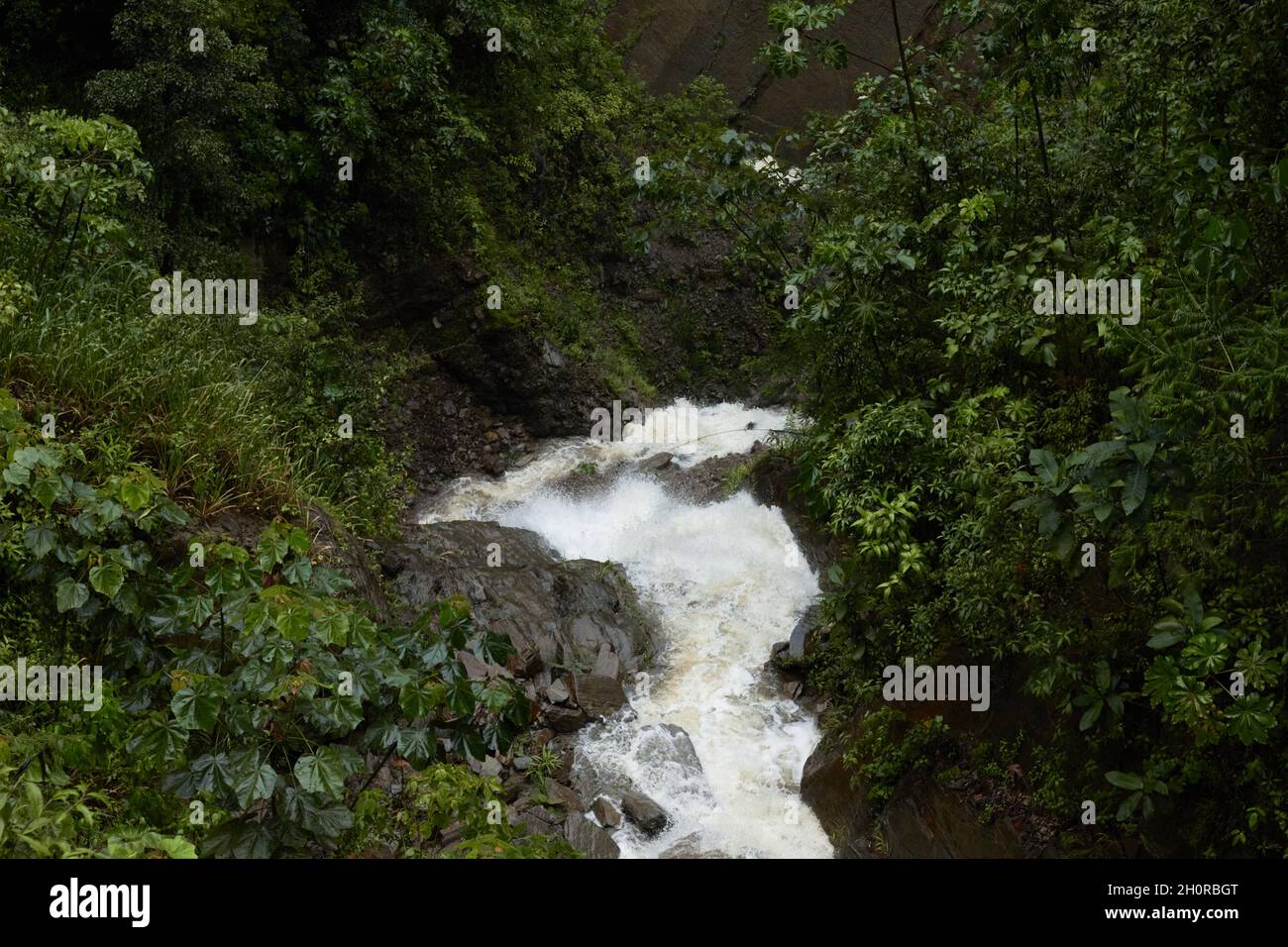 Beautiful view of rocks in a stream with smooth flowing water Stock ...