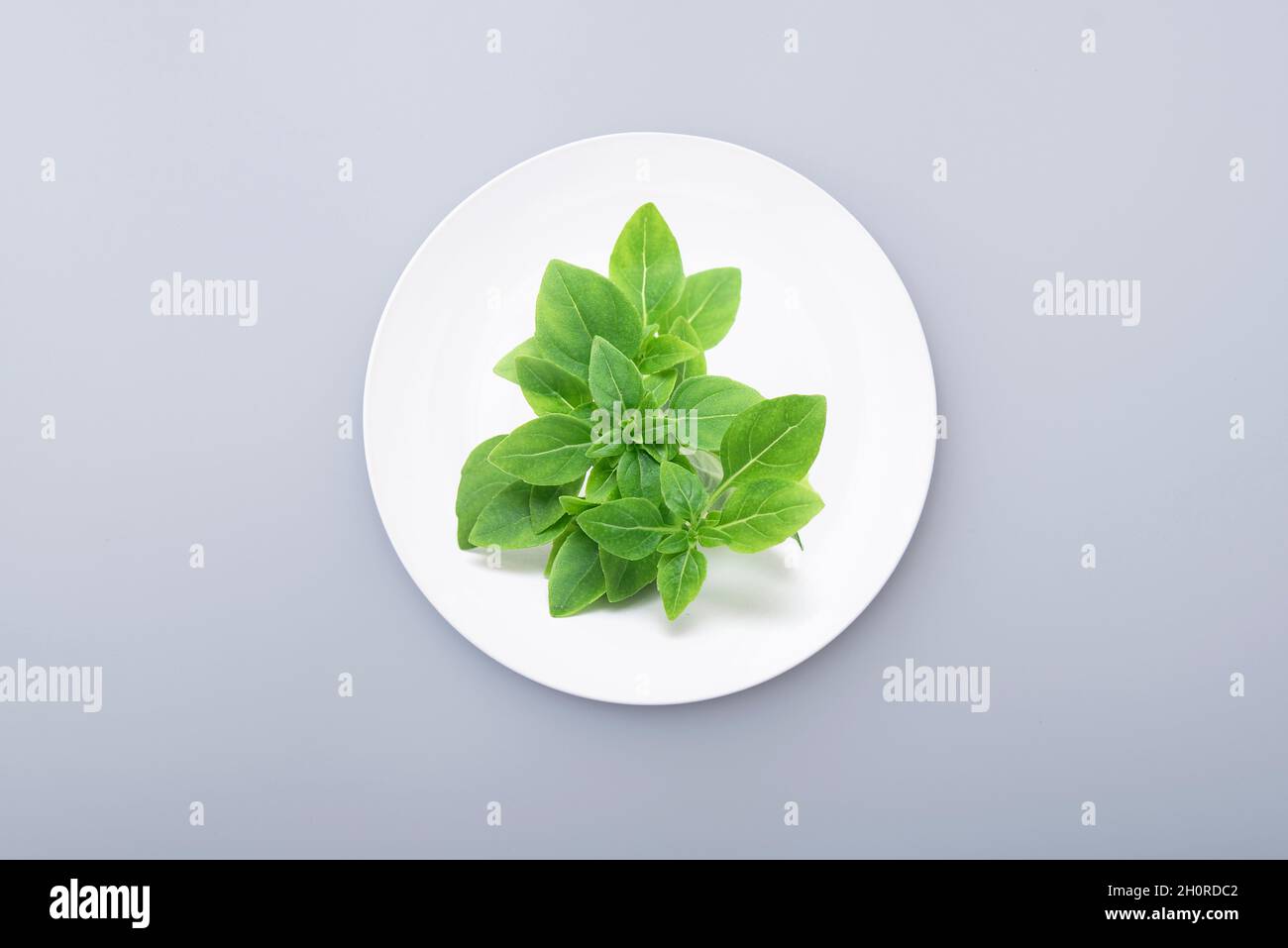 Green basil leaves on a white ceramic plate. Still life with minimal ...