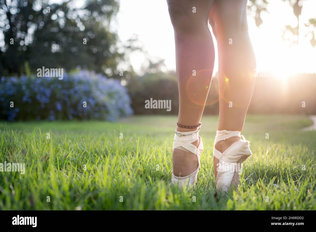 Shallow focus shot of the feet of a ballet dancer standing on the green ...