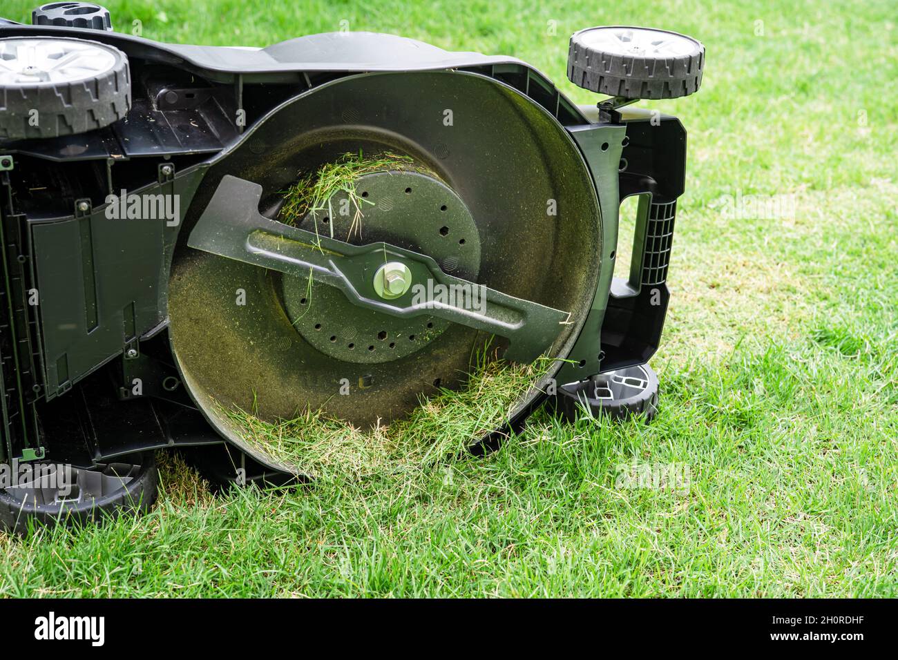 Blade in lawn mower machine cut green grass, Hobby planting home garden ...