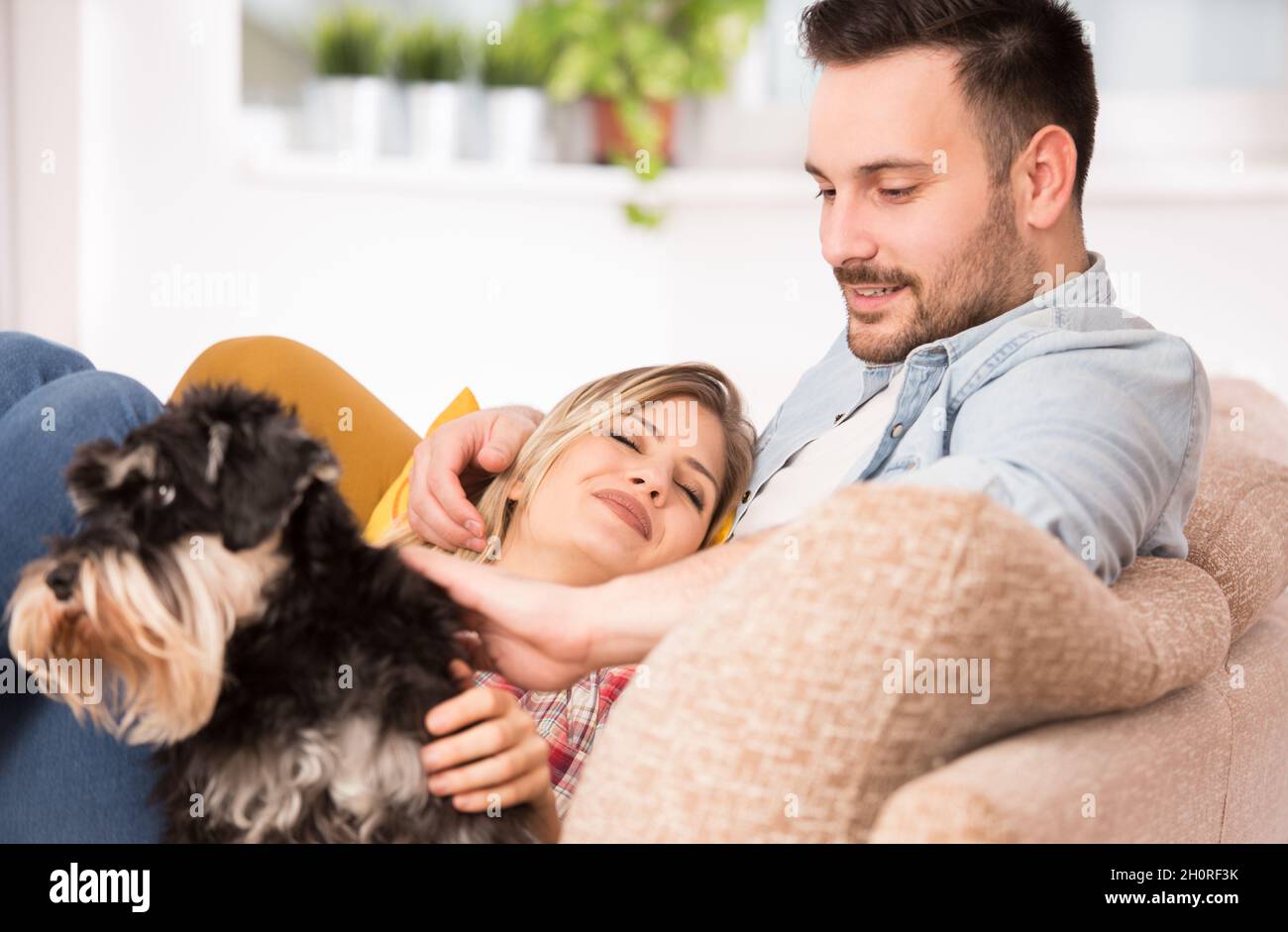 Young couple in love with dog on sofa having intimate moments at home ...