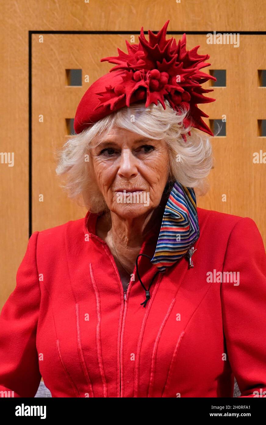 Senedd ampics hi-res stock photography and images - Alamy