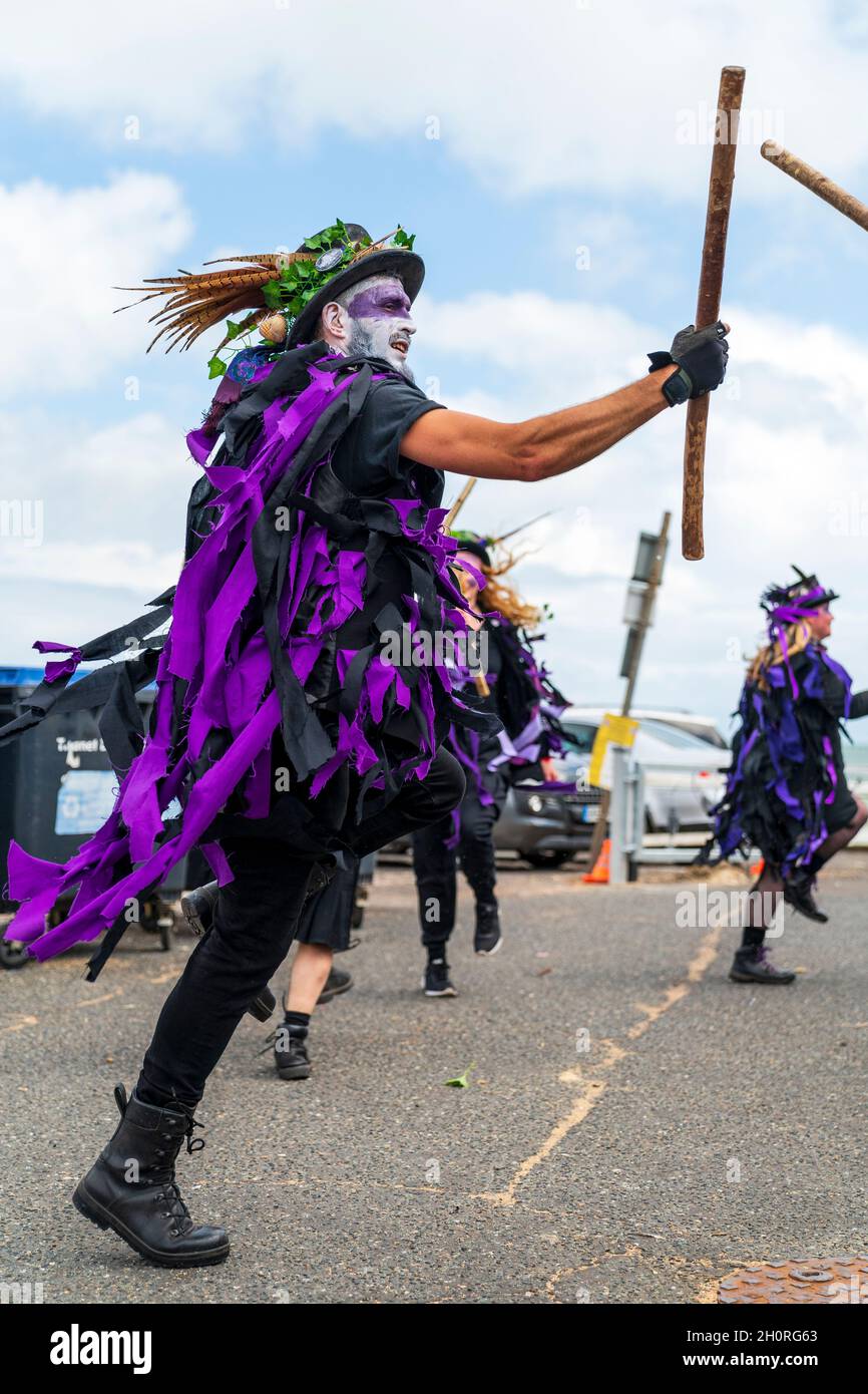 Black Swan Border Morris dancers in their black and mauve costume ...